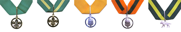 Good Service Awards – Berkshire Scouts